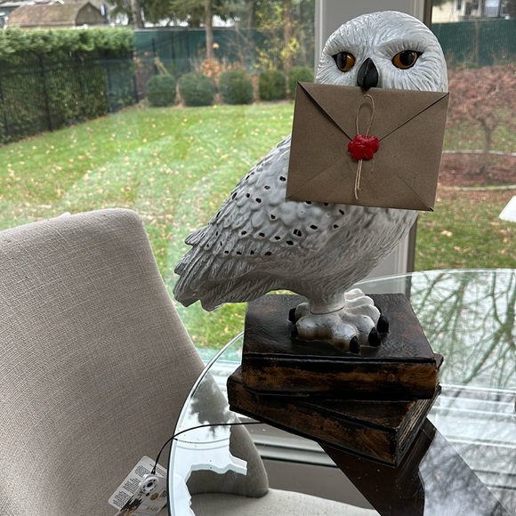Party Supplies | Harry Potter Hedwig Light Up Statue | Poshmark